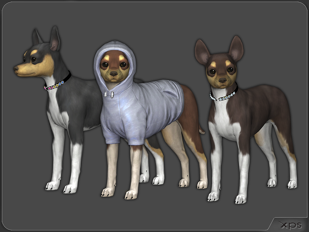 Dog Toy Fox Terrier (TS4) by aleksiszet by aleksiszet on DeviantArt