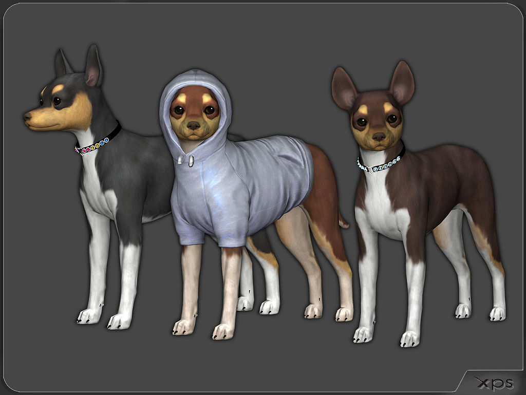 Dog Toy Fox Terrier (TS4) by aleksiszet by aleksiszet on DeviantArt