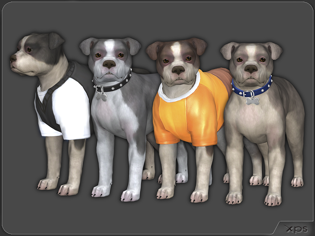 Dog Staffordshire Bull Terrier (TS4) by aleksiszet by aleksiszet on ...