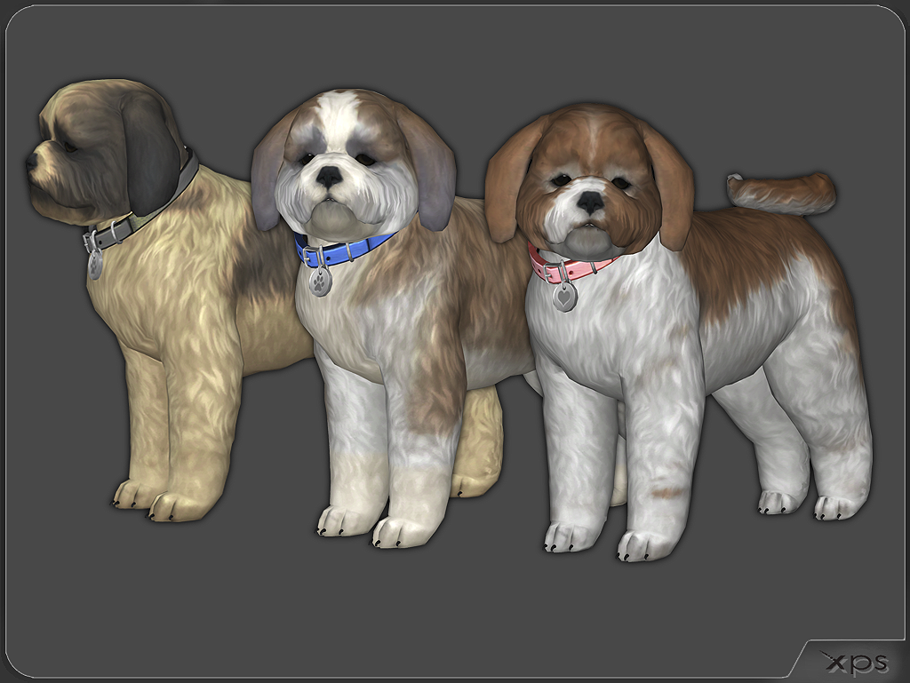 Dog Shih Tzu (TS4) by aleksiszet by aleksiszet on DeviantArt