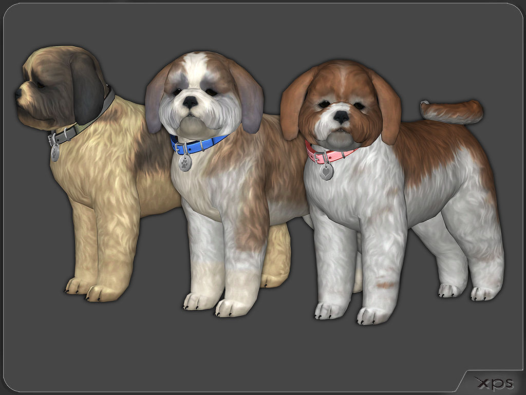 Dog Shih Tzu (TS4) by aleksiszet by aleksiszet on DeviantArt