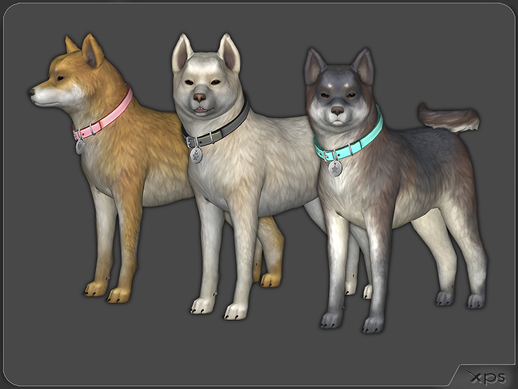 Dog Shiba Inu (TS4) by aleksiszet by aleksiszet on DeviantArt
