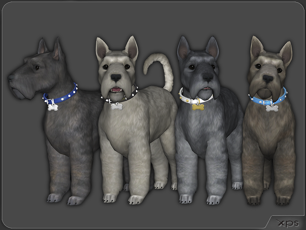 Dog Scottish Terrier (TS4) by aleksiszet by aleksiszet on DeviantArt