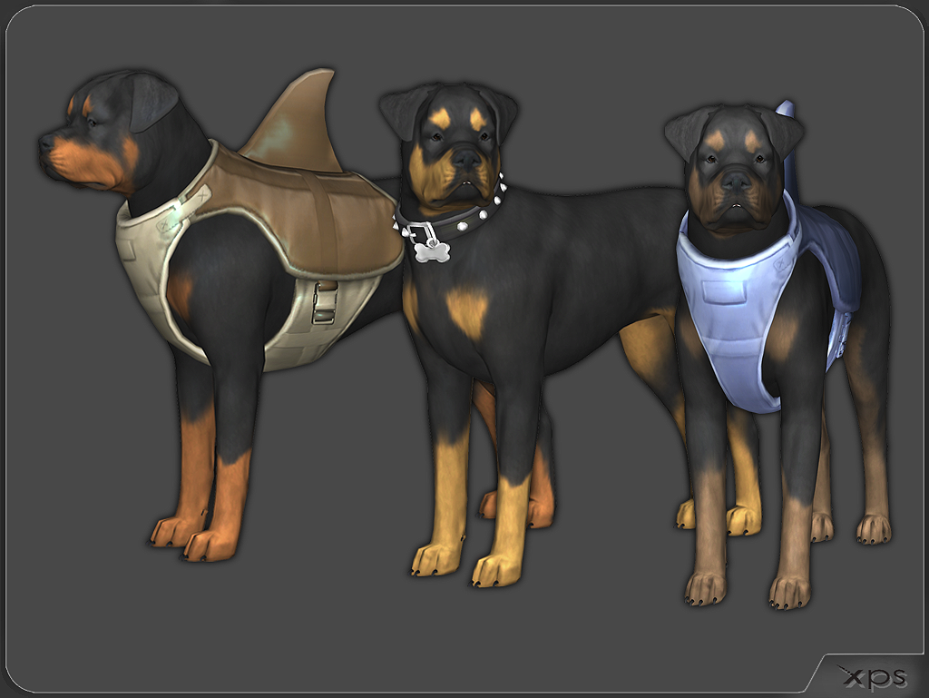 Dog Rottweiler (TS4) by aleksiszet by aleksiszet on DeviantArt