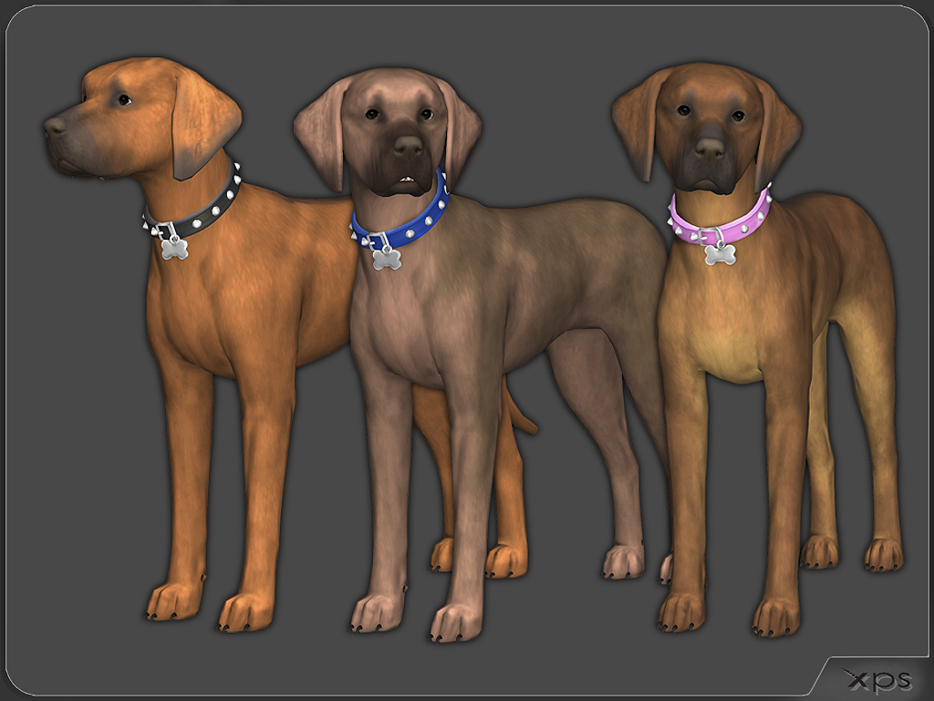 Dog Rhodesian Ridgeback (TS4) by aleksiszet by aleksiszet on DeviantArt