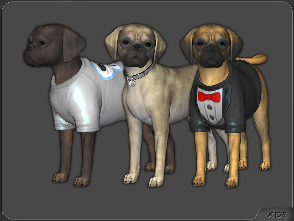 Dog Puggle (TS4) by aleksiszet by aleksiszet on DeviantArt
