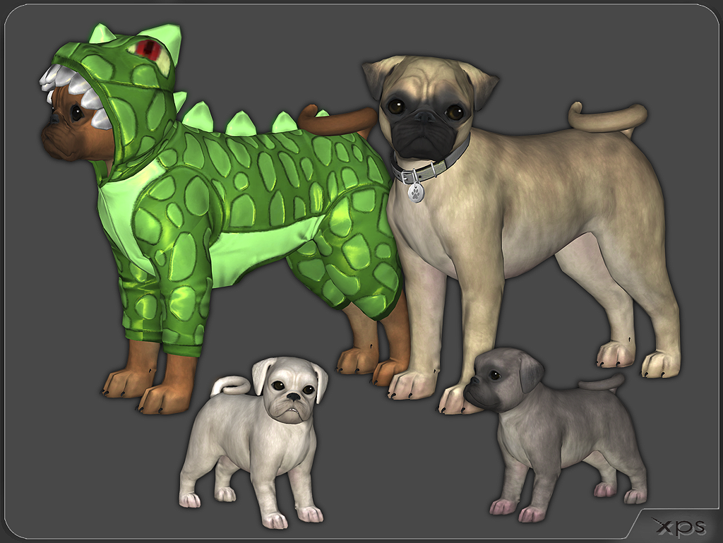 Dog Pug (TS4) by aleksiszet by aleksiszet on DeviantArt