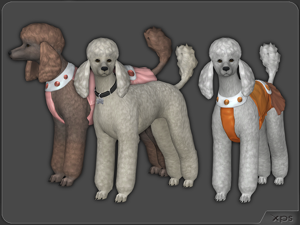 Dog Poodle v.2 (TS4) by aleksiszet by aleksiszet on DeviantArt
