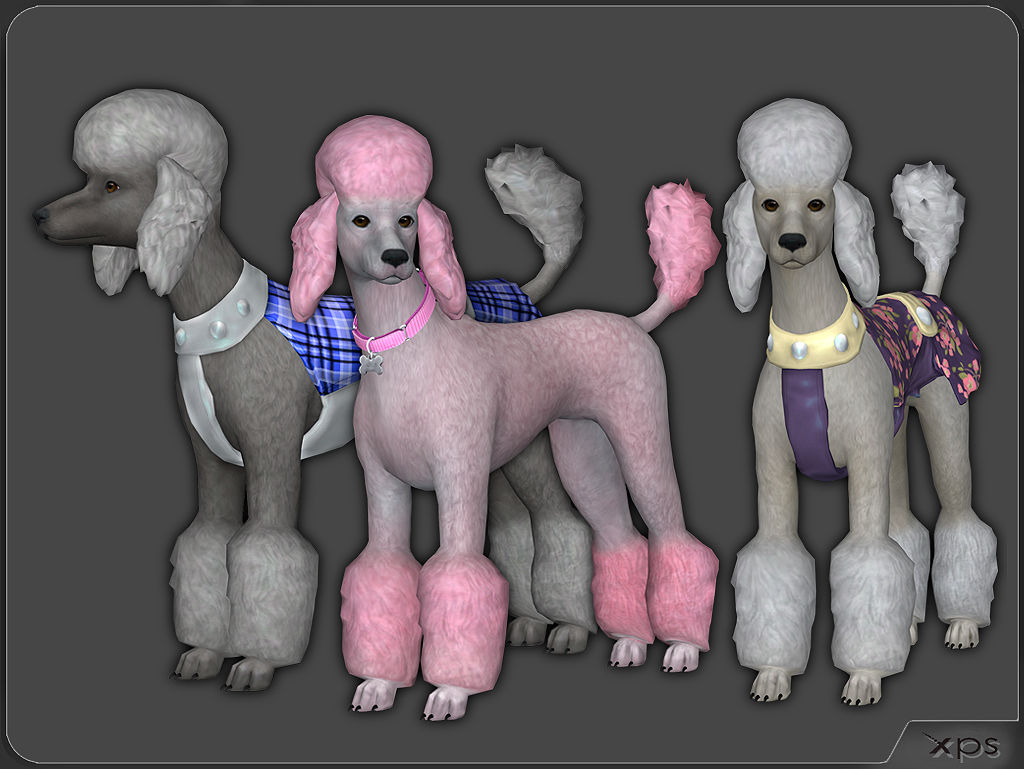 Dog Poodle v.1 (TS4) by aleksiszet by aleksiszet on DeviantArt