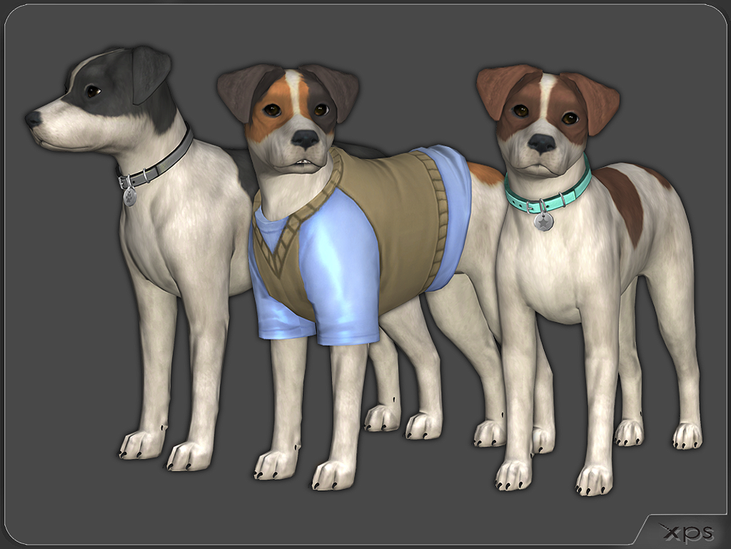 Dog Parson Russell Terrier (TS4) by aleksiszet by aleksiszet on DeviantArt