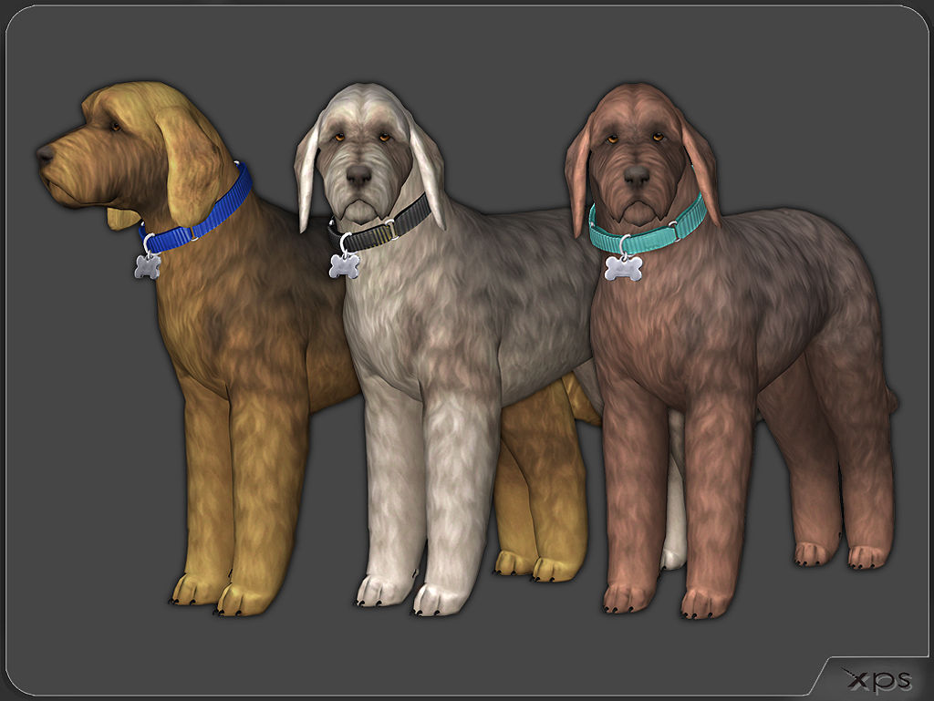 Dog Otterhound (TS4) by aleksiszet by aleksiszet on DeviantArt