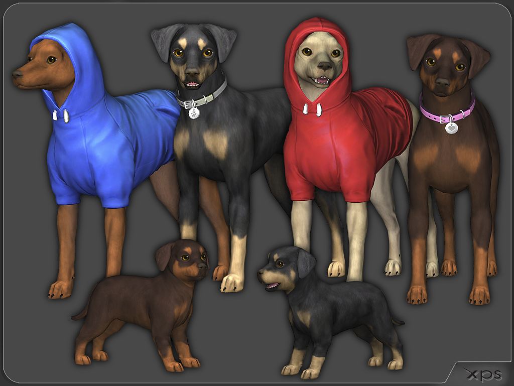 Dog Miniature Pinscher (TS4) by aleksiszet by aleksiszet on DeviantArt