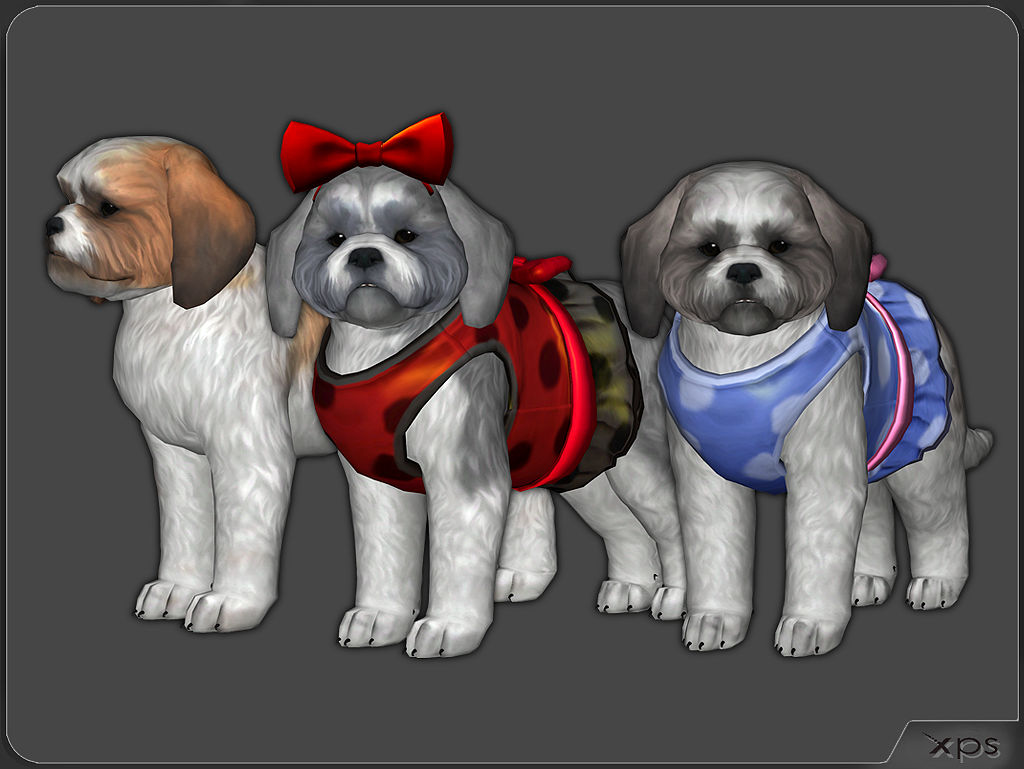 Dog Lhasa Apso (TS4) by aleksiszet by aleksiszet on DeviantArt