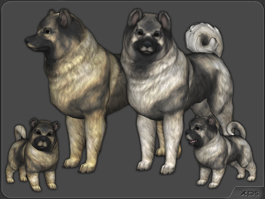 Dog Keeshond (TS4) by aleksiszet by aleksiszet on DeviantArt