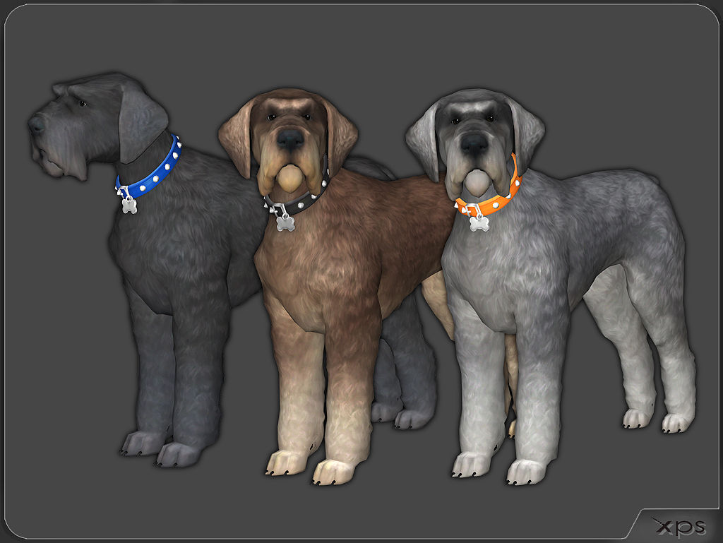 Dog Giant Schnauzer (TS4) by aleksiszet by aleksiszet on DeviantArt