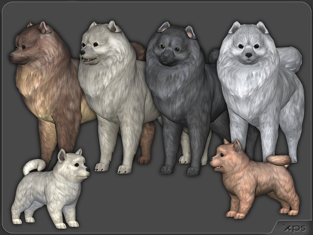Dog German Spitz (TS4) by aleksiszet by aleksiszet on DeviantArt
