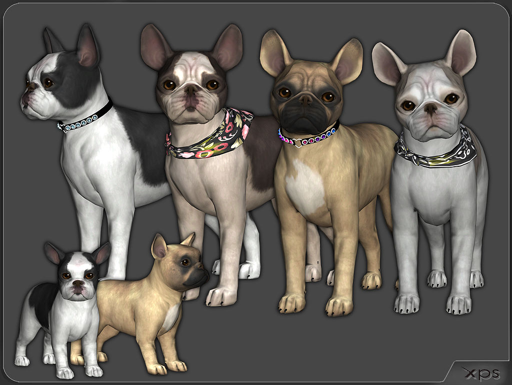 Dog French Bulldog (TS4) by aleksiszet by aleksiszet on DeviantArt