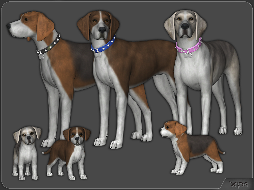 Dog Foxhound (TS4) by aleksiszet by aleksiszet on DeviantArt