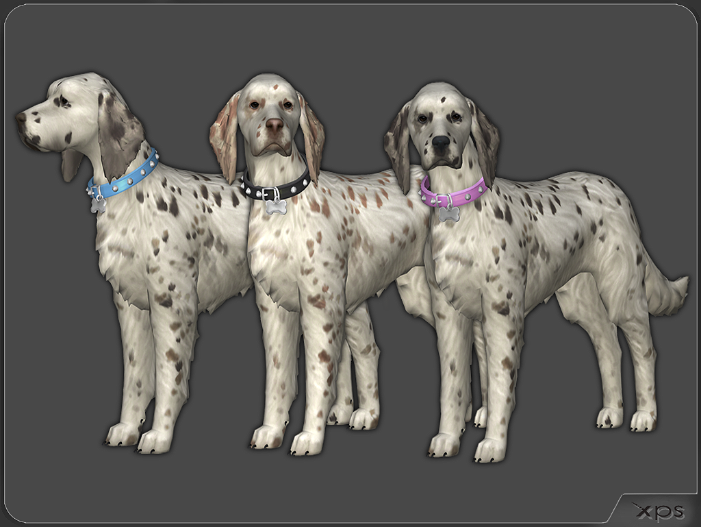 Dog English Setter (TS4) by aleksiszet by aleksiszet on DeviantArt