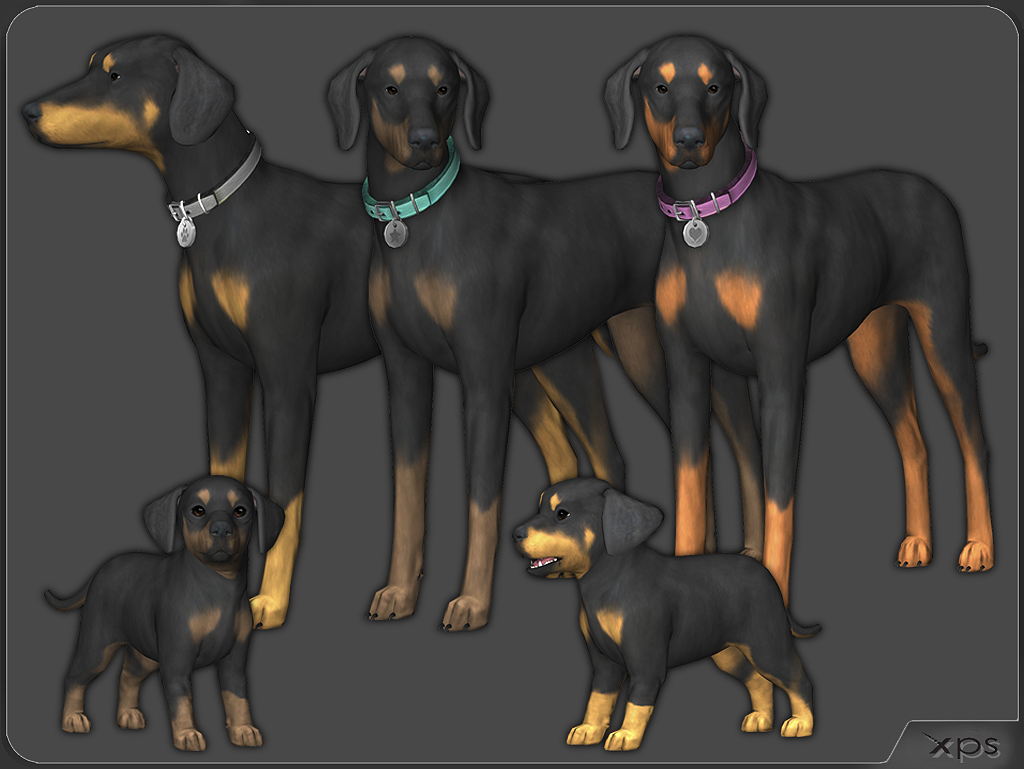 Dog Doberman Pinscher (TS4) by aleksiszet by aleksiszet on DeviantArt
