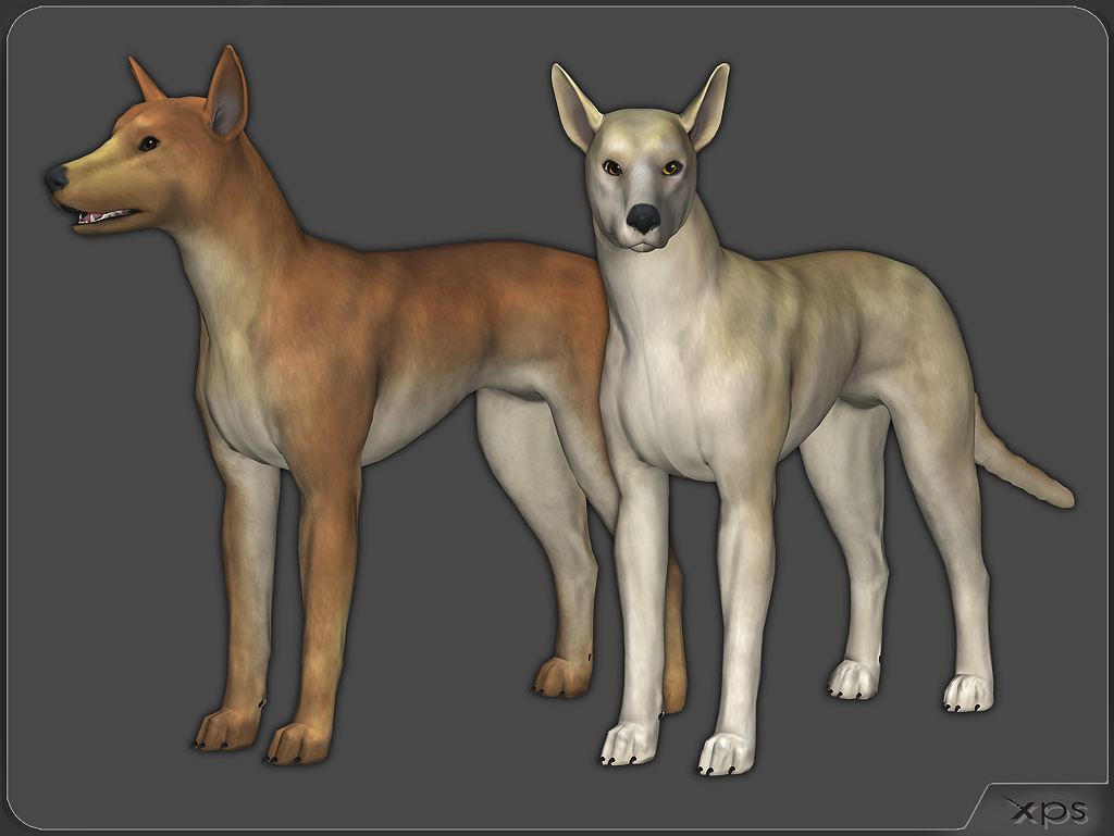 Dog Dingo (TS4) by aleksiszet by aleksiszet on DeviantArt