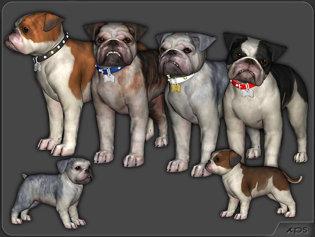 Dog Bulldog v.1 (TS4) by aleksiszet by aleksiszet on DeviantArt