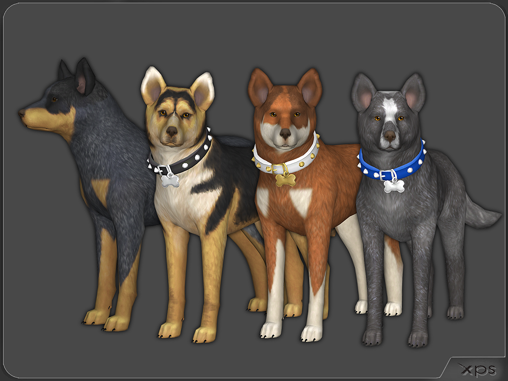 Australian Cattle Dog (TS4) by aleksiszet by aleksiszet on DeviantArt