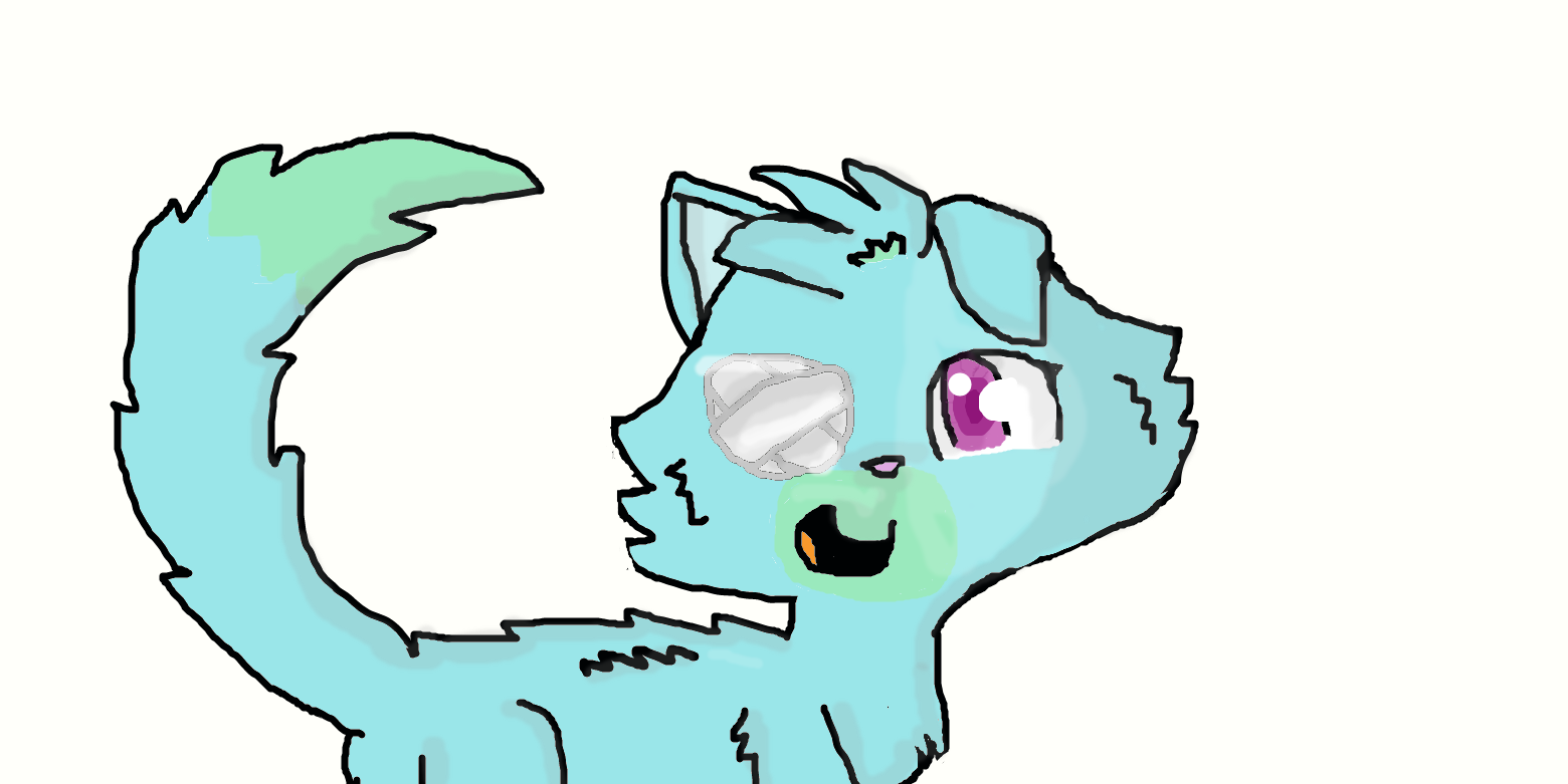 Crystal The cat (new cat oc) by FluffyThePirateFox on DeviantArt