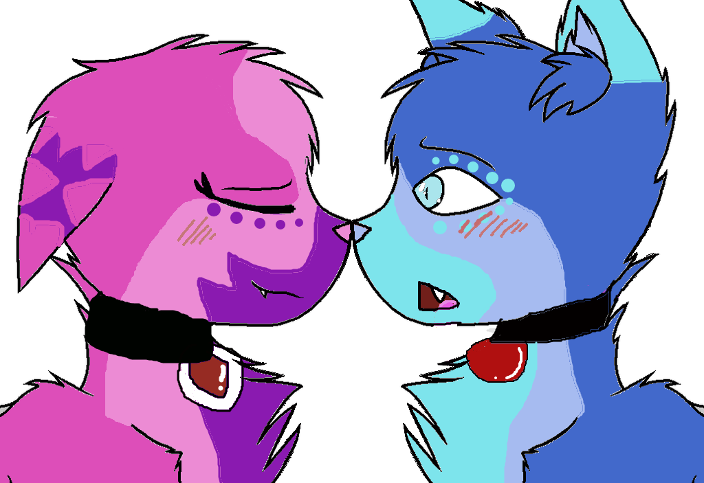 new cat oc's Scar and Scarlet by FluffyThePirateFox on DeviantArt