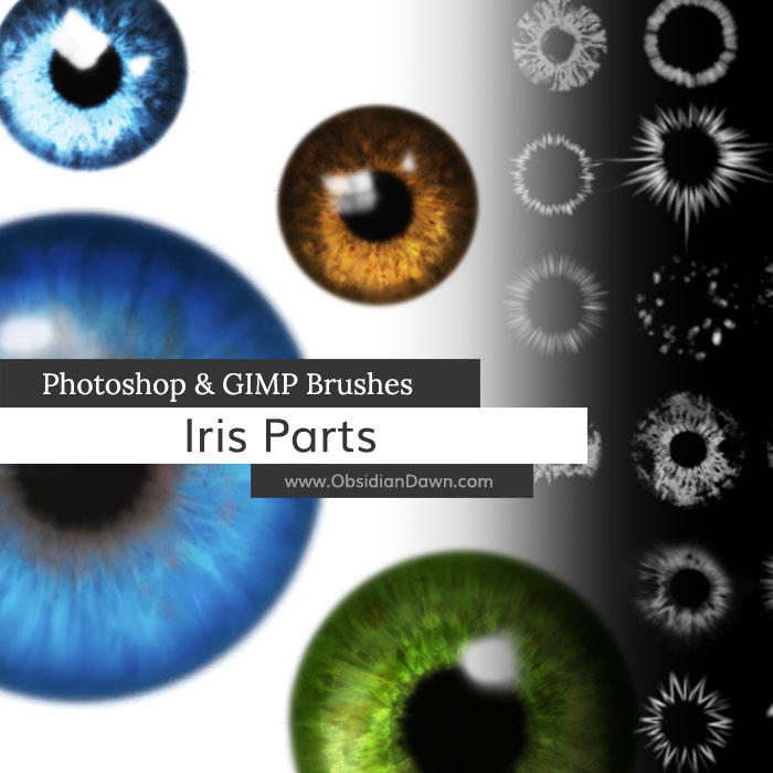 Iris Parts (Eyes) Photoshop and GIMP Brushes by redheadstock on DeviantArt