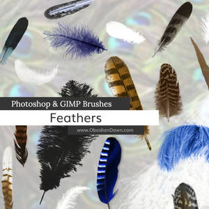 Explore the Best Feather Art | DeviantArt