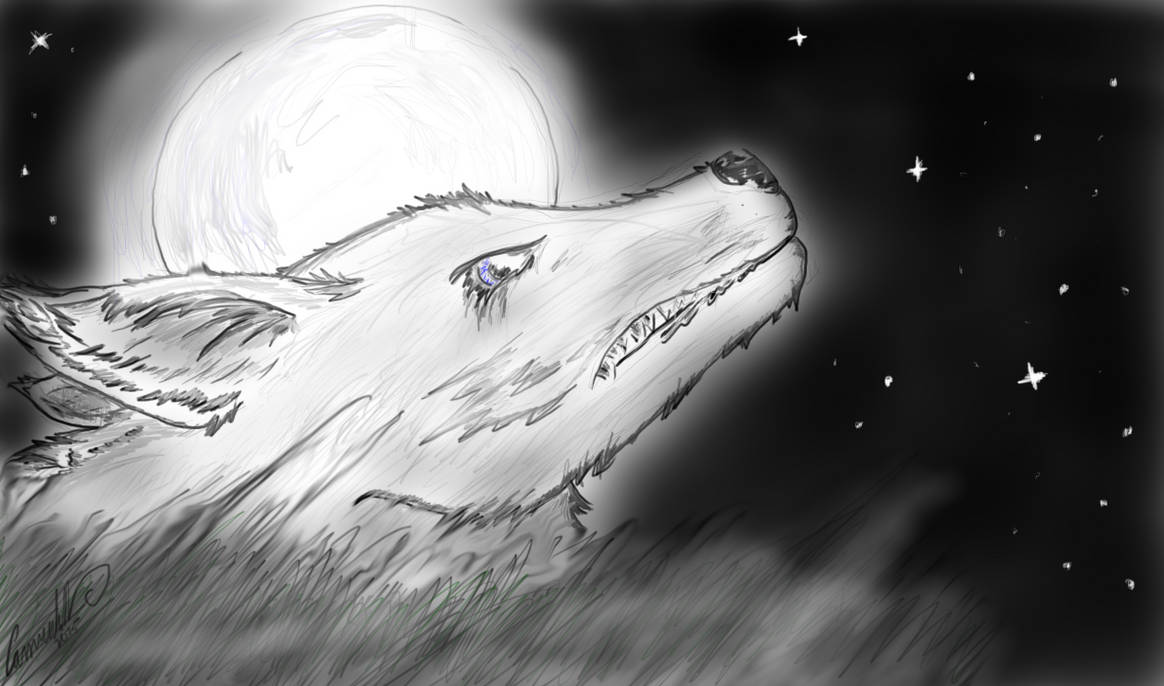 StarryWulf by 9azurewolf7 on DeviantArt