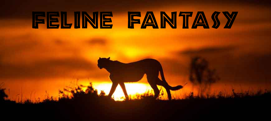 Feline Fantasy by LunaHowl22 on DeviantArt