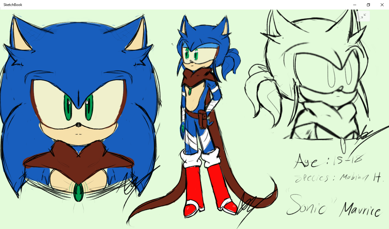 Designing my Sonic AU. THIS HAS BEEN THE 19 TIME by RNStarbird on ...