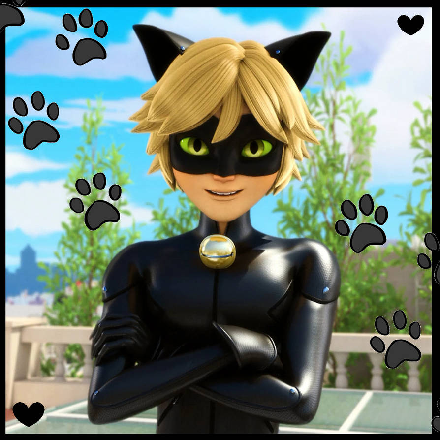 Chat Noir is the Cat's Meow by LuckyLadyXandra on DeviantArt
