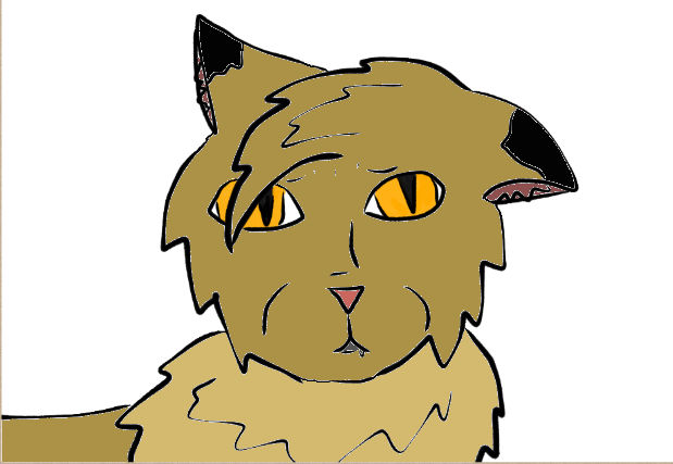 Cat ... meow :3 by Leaffire98 on DeviantArt