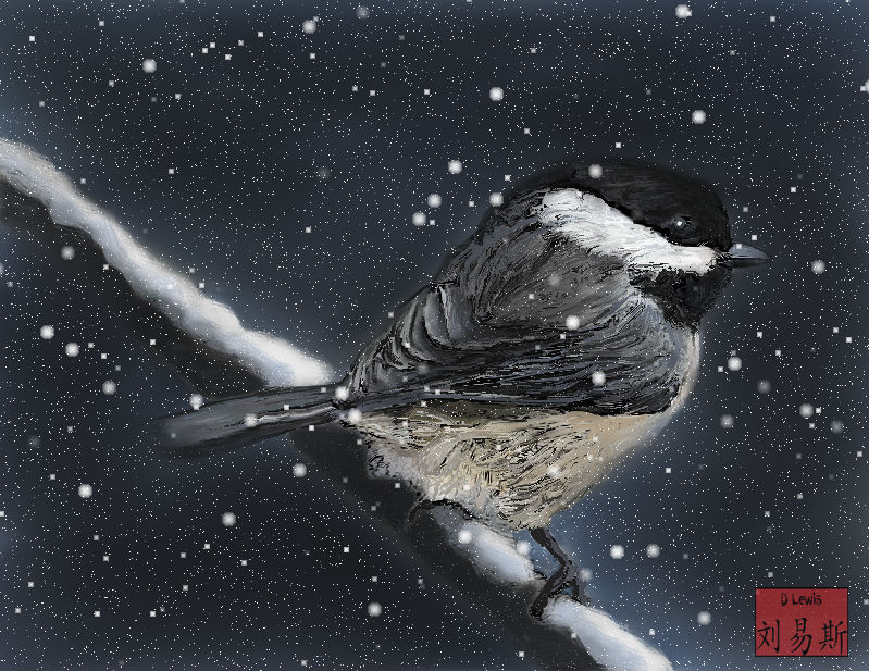 Chickadee 2 by ghost549 on DeviantArt