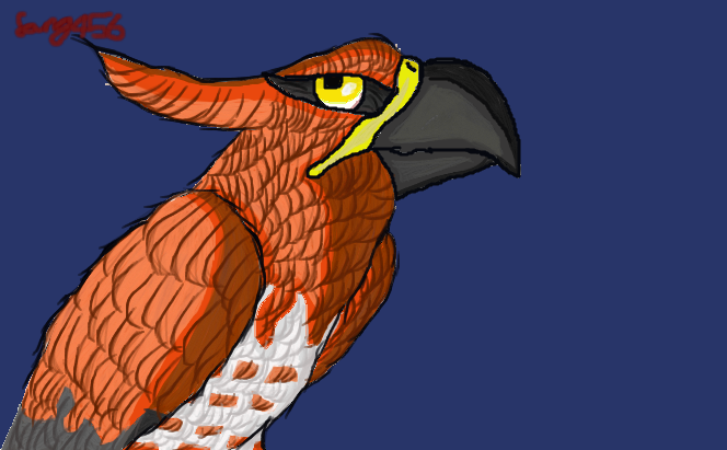 Realistic Talonflame by Fang456 on DeviantArt