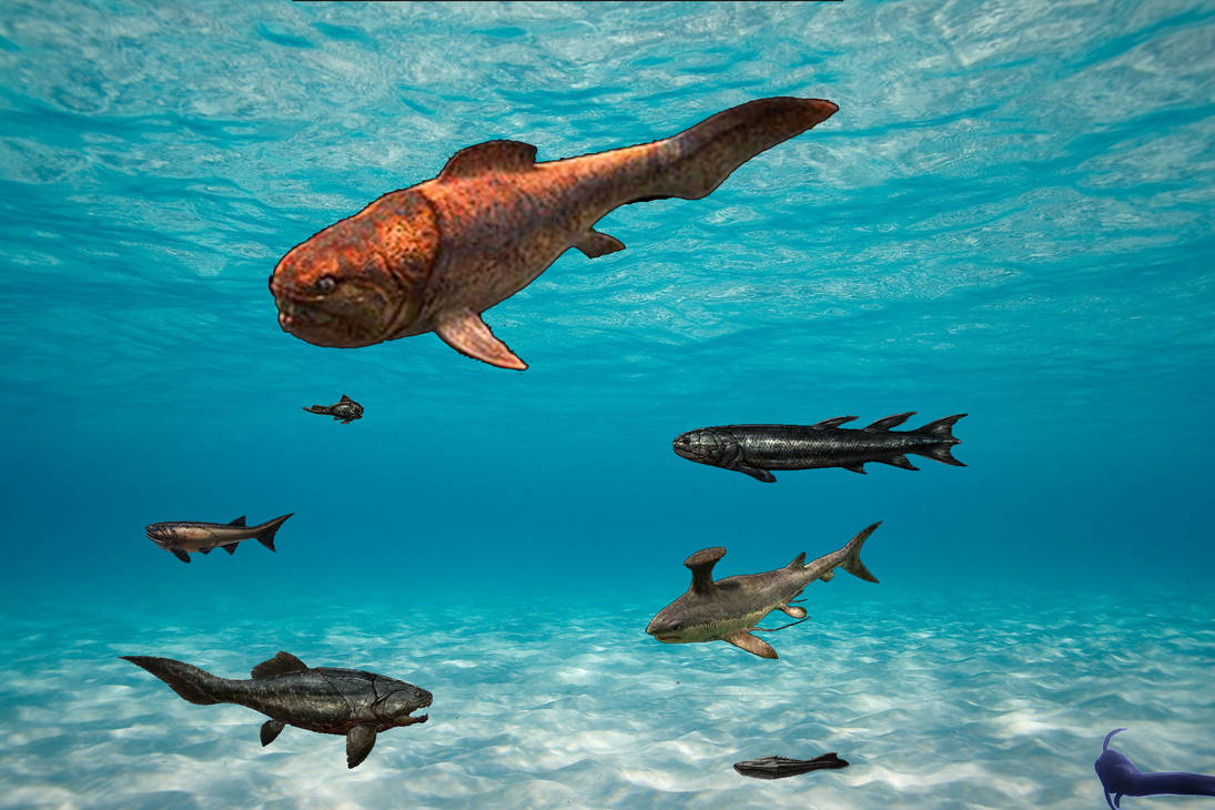 The sea of the Devonian by ninjakingofhearts on DeviantArt