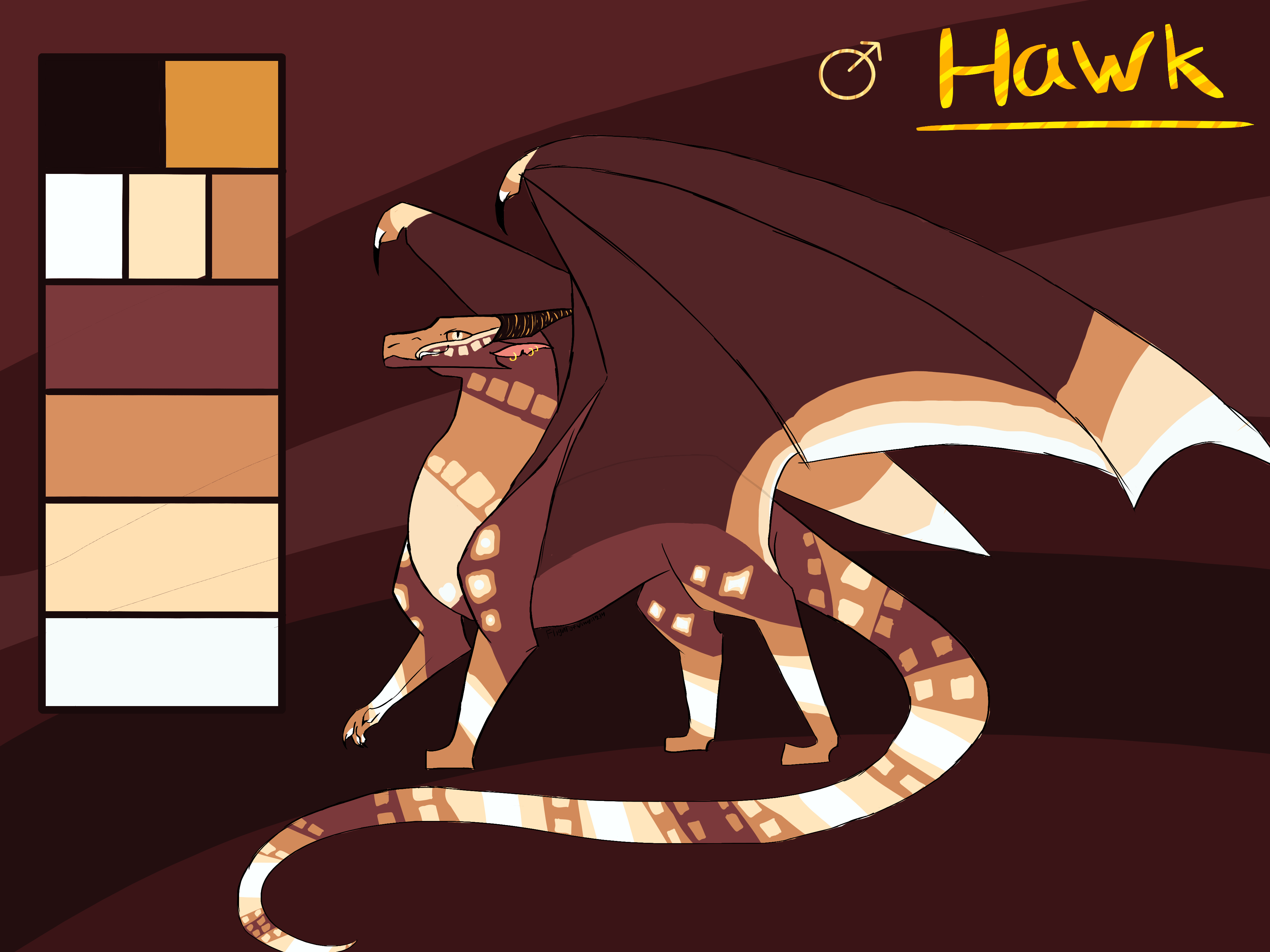 Meet Hawk. by Flightofwings1234 on DeviantArt