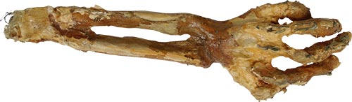 Zombie Arm 3 by KingaBritschgi on DeviantArt