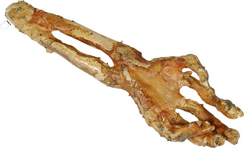 Zombie Arm 4 by KingaBritschgi on DeviantArt