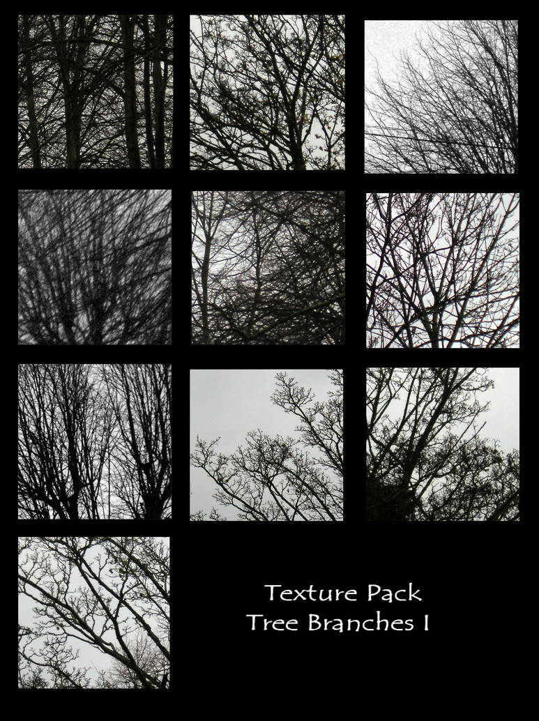 Texture Pack - Branches I by rockgem on DeviantArt