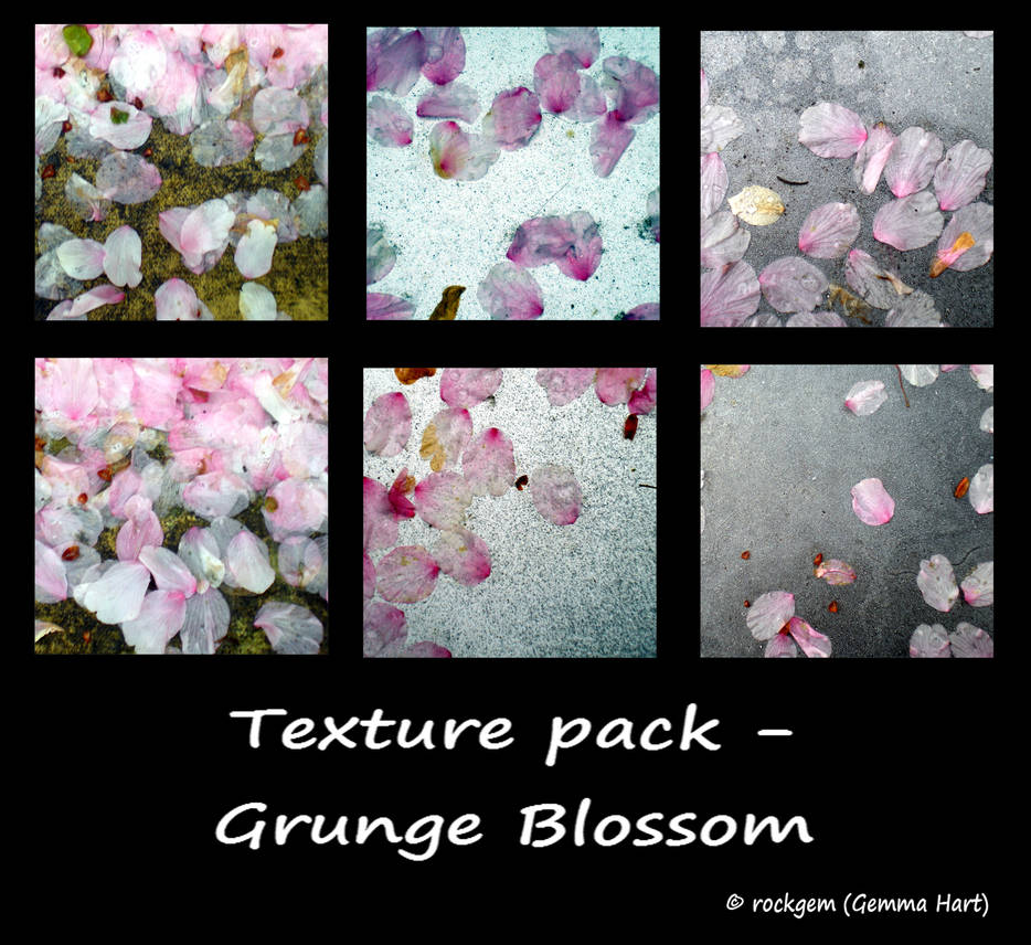Texture Pack - Grunge Blossom Petals by rockgem on DeviantArt