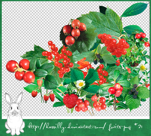 fruits png 21P by kassilly on DeviantArt