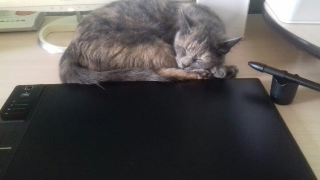 Yioshka - Hobbyist, Digital Artist | DeviantArt