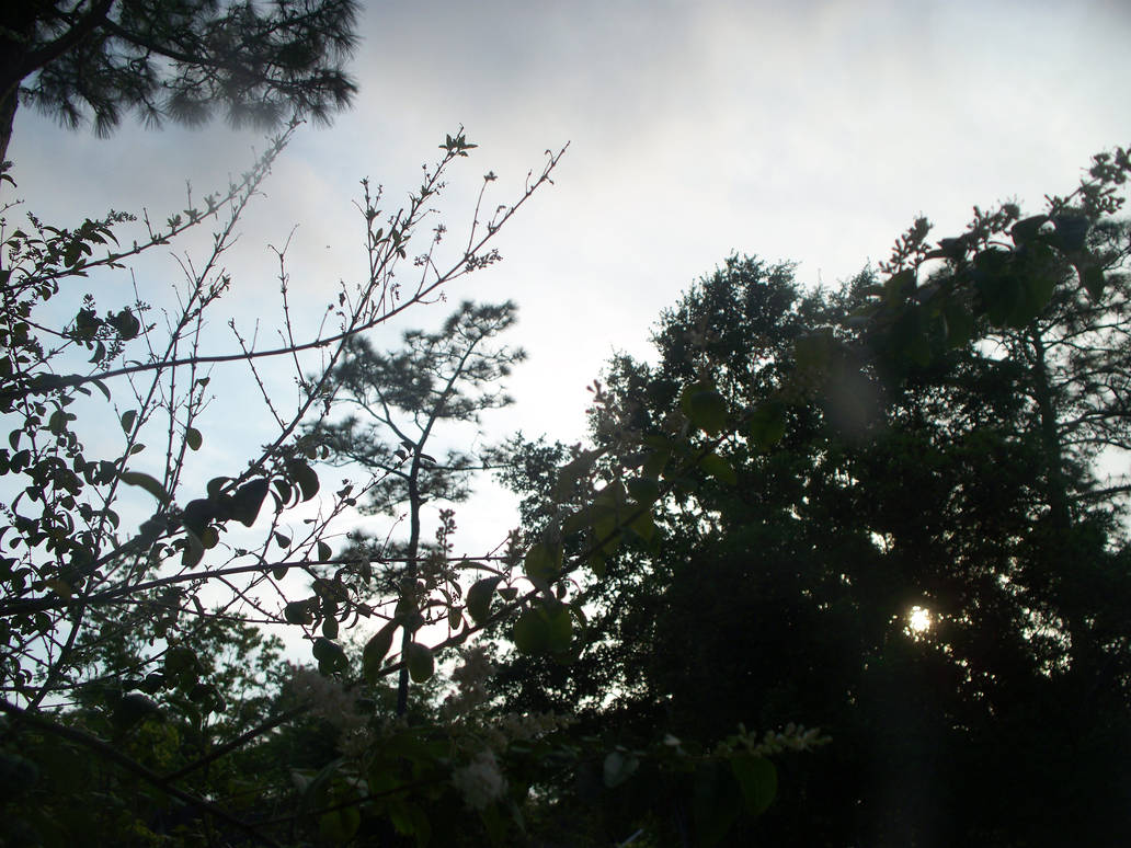 Fading Star by Kelushan on DeviantArt