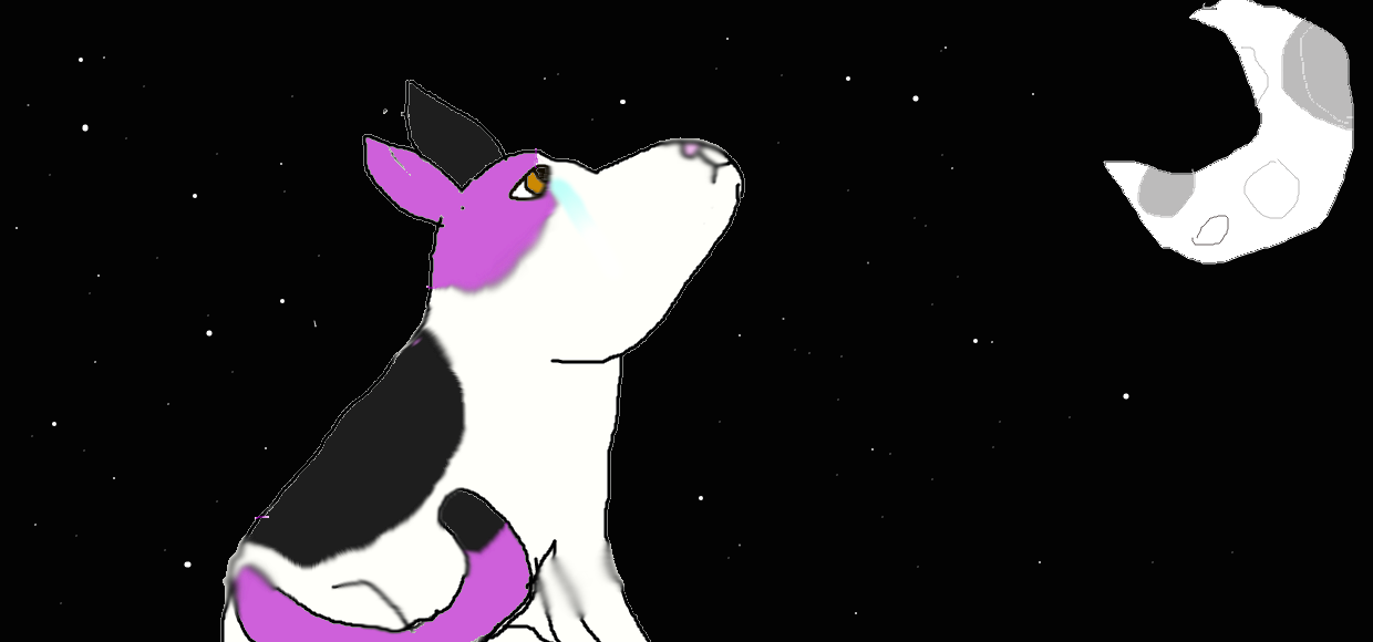 aphmau cat by Horsecrazygirl05 on DeviantArt
