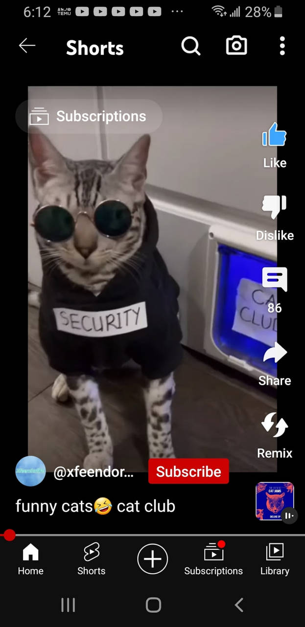 Security Cat by PurpleBall2010 on DeviantArt