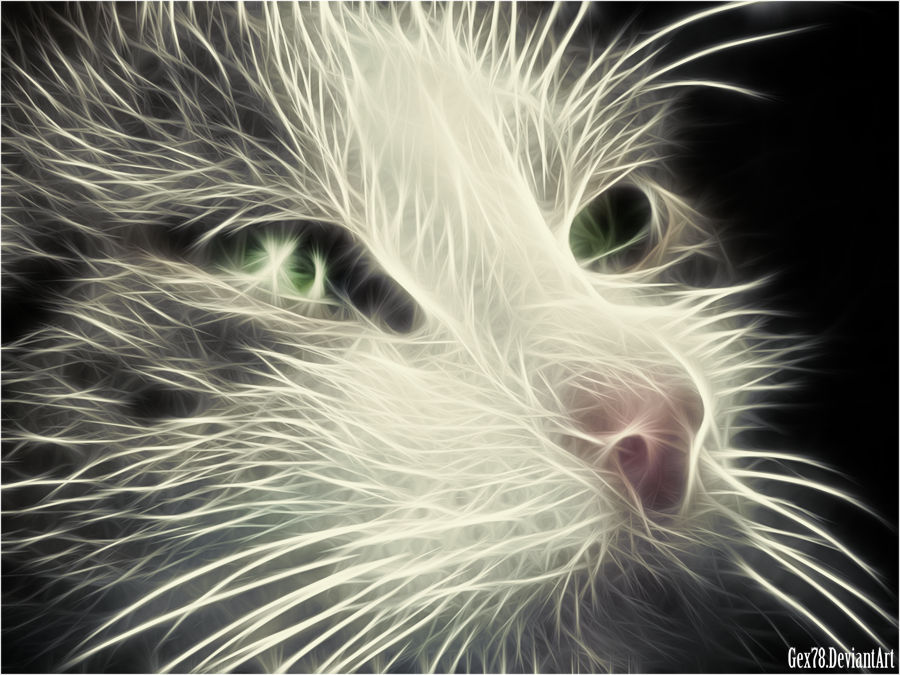 Mormis by Gex78 on DeviantArt